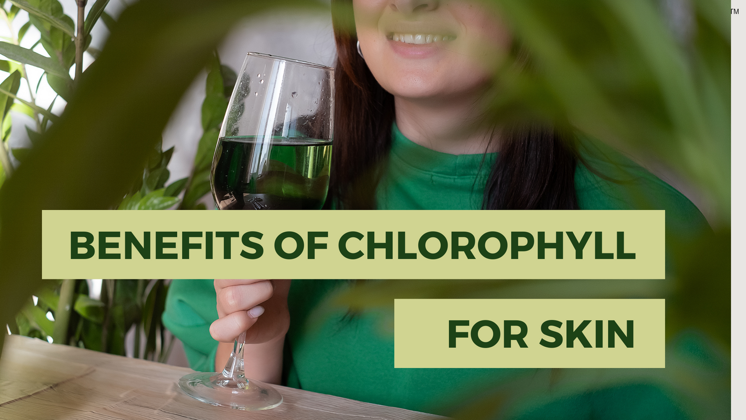 Benefits of Chlorophyll for Skin – Ifysi